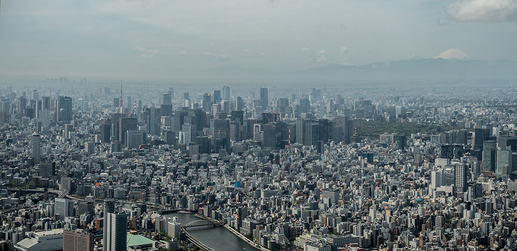 Tokyo from above - city vistas - WannaBeEverywhere