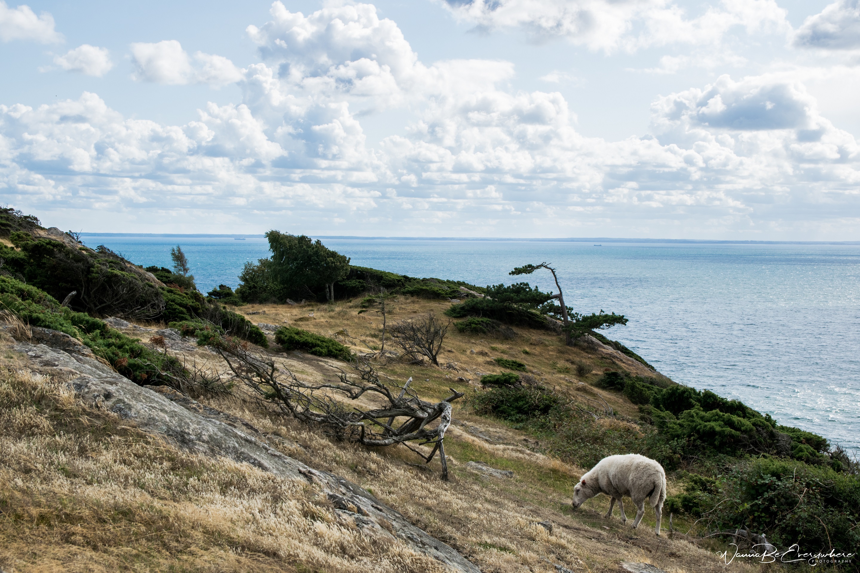 Kullen | Kullaberg | Hiking and climbing in Sweden | WannaBeEverywhere