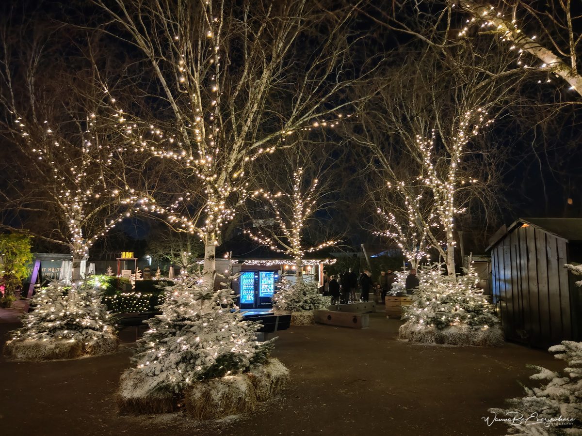 Christmas in the Zoo | Christmas with animals | WannaBeEverywhere