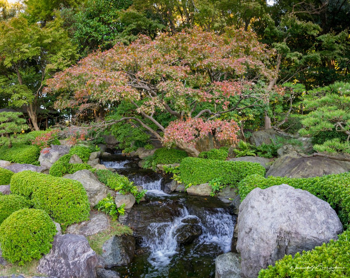 A day in Fukuoka | What to do in Fukuoka | WannaBeEverywhere