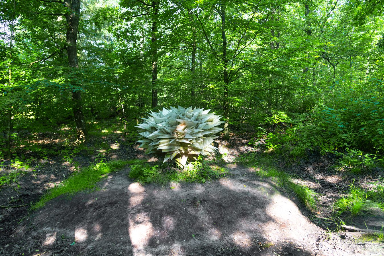 Deep Forest Art Land - Skovsnogen | WannaBeEverywhere