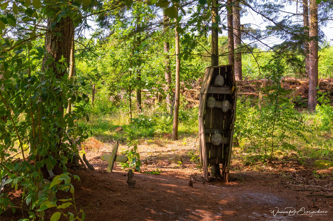 Deep Forest Art Land - Skovsnogen | WannaBeEverywhere