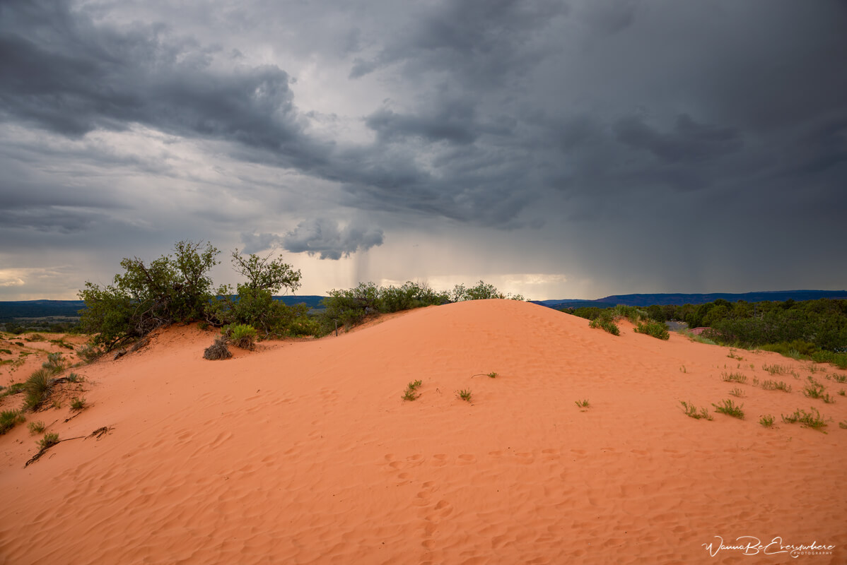 Hiking through sand in Coral Pink Sand Dunes State Park | WannaBeEverywhere