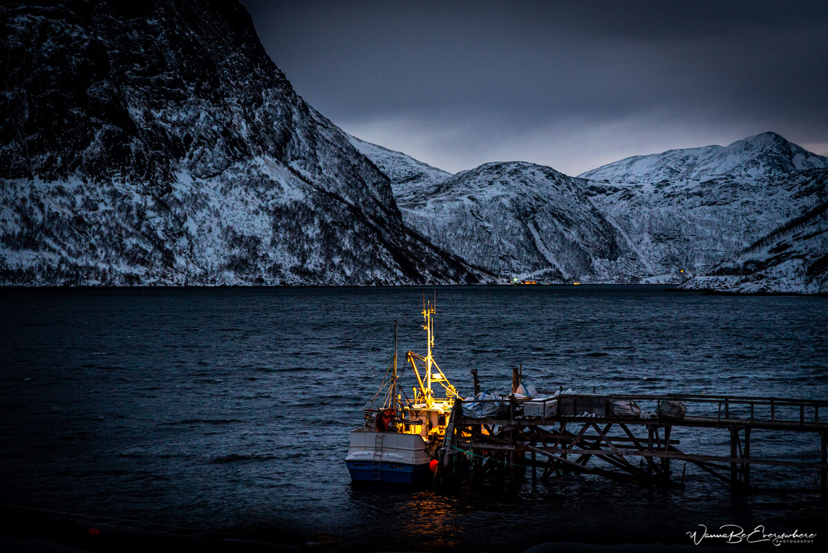 Visiting Arctic - Senja in the winter | WannaBeEverywhere
