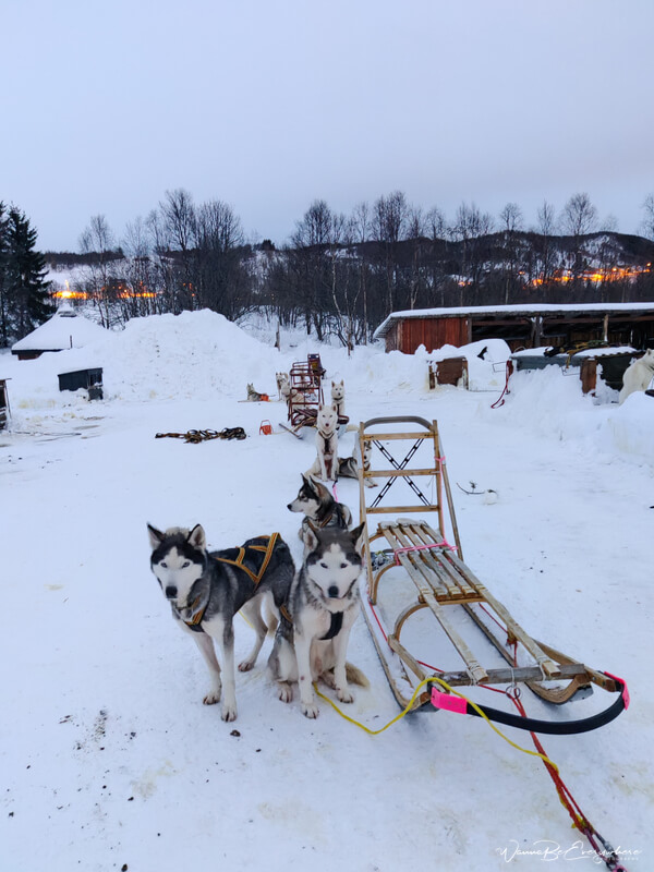 Visiting Arctic - Senja in the winter | WannaBeEverywhere