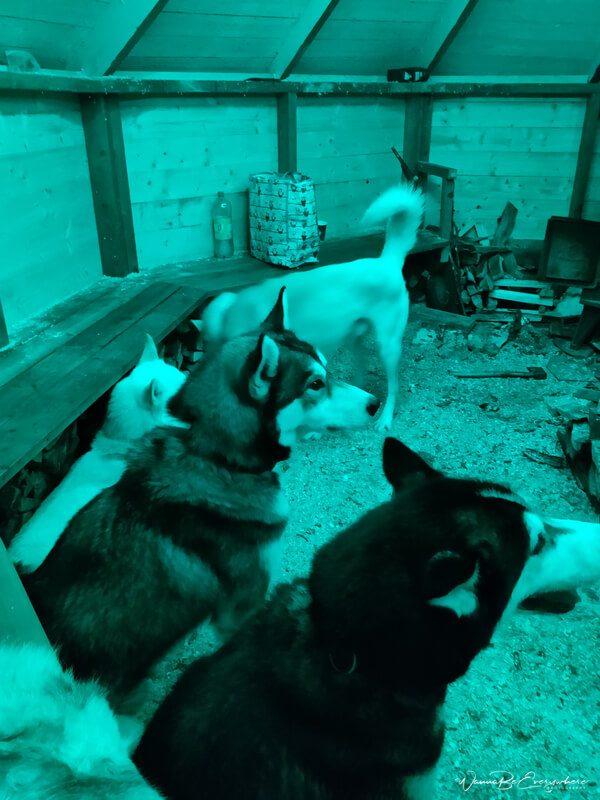 Visiting Arctic - Senja in the winter | WannaBeEverywhere